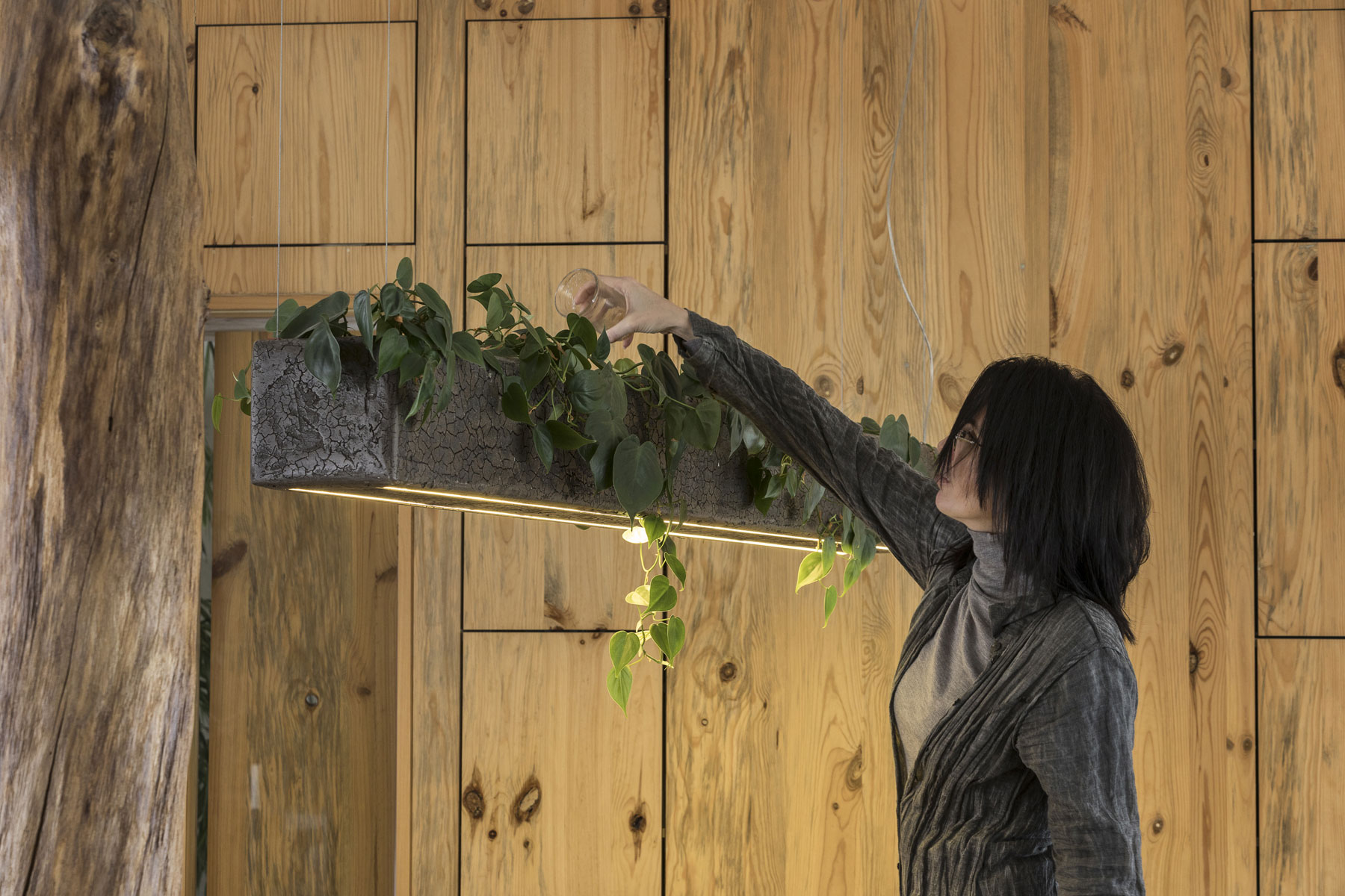 TERRA LIGHT ceiling lamp with plants | Ryntovt Design